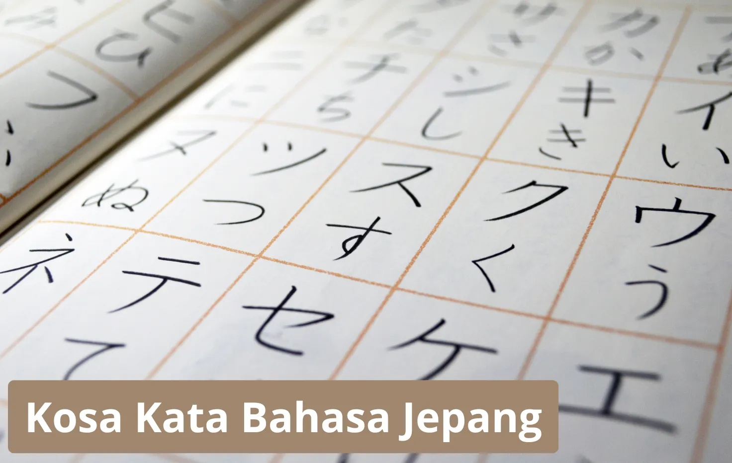 6000+ Kosa Kata Bahasa Jepang Sehari-hari (Wajib Tau!) - LPK Furinkazan